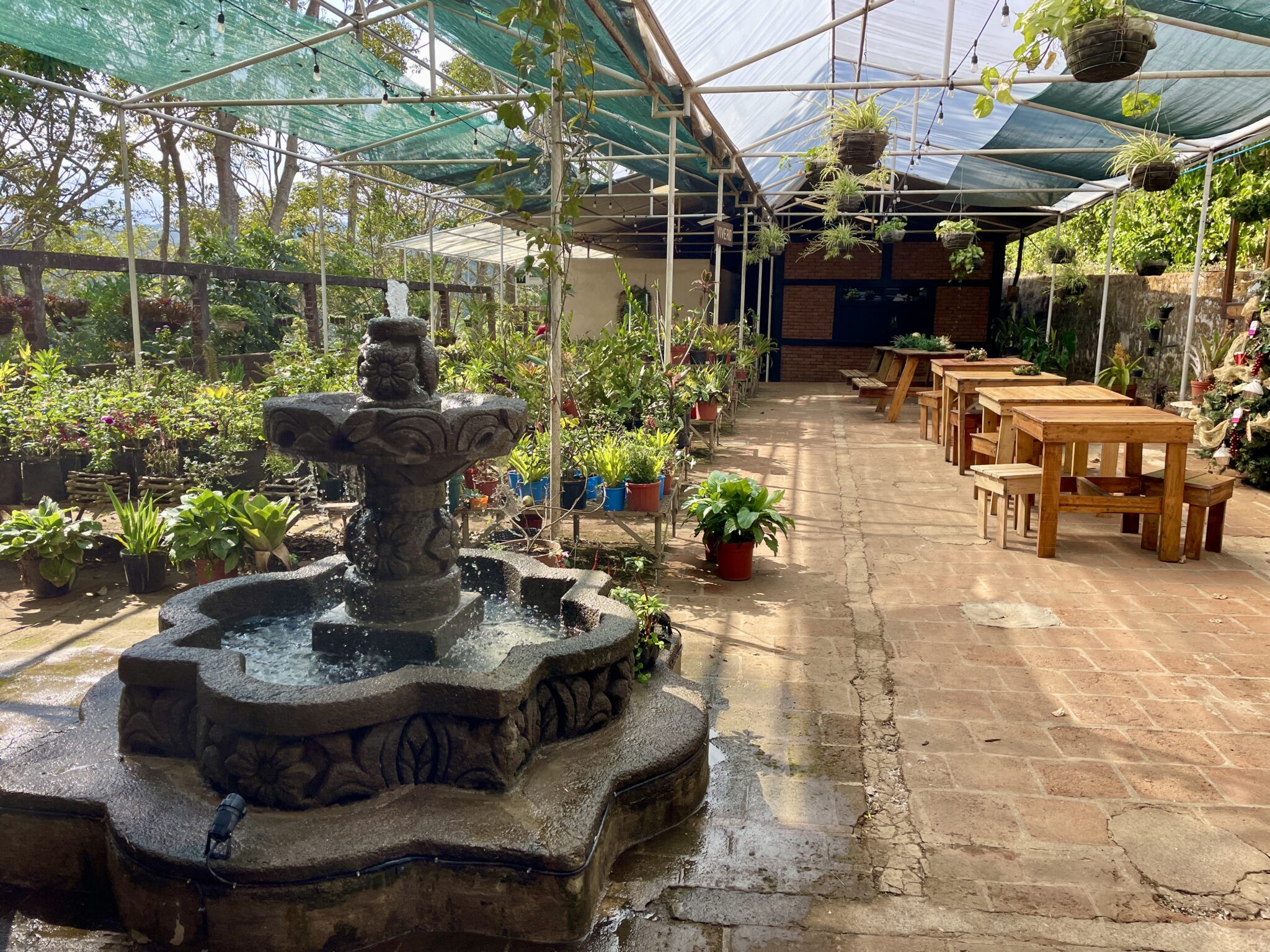 La Ruta de las Flores: El Salvador's Most Beautiful Towns (2026)